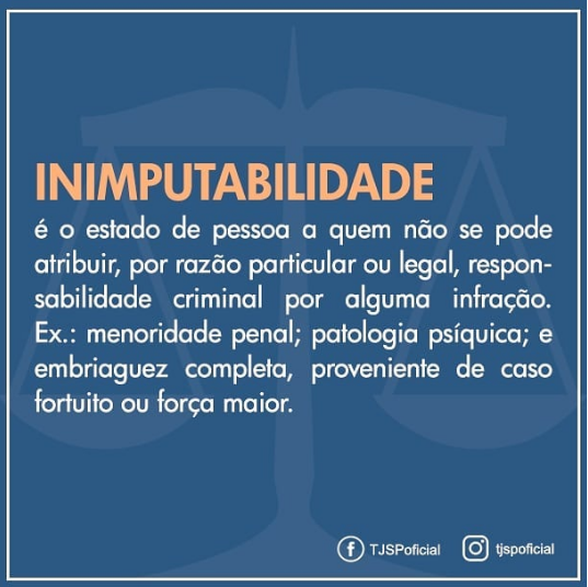 INIMPUTABILIDADE | Brasil Correspondentes
